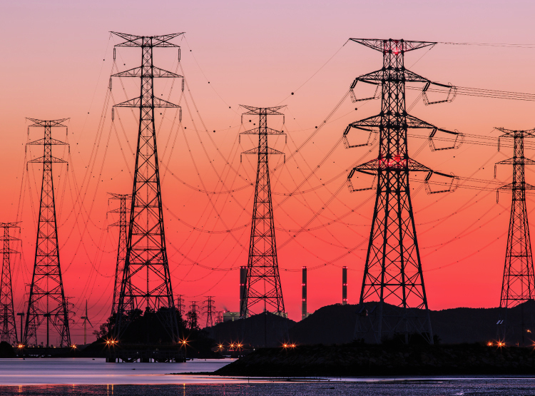 Powering the Future: Strategies for Grid Flexibility and Resiliency